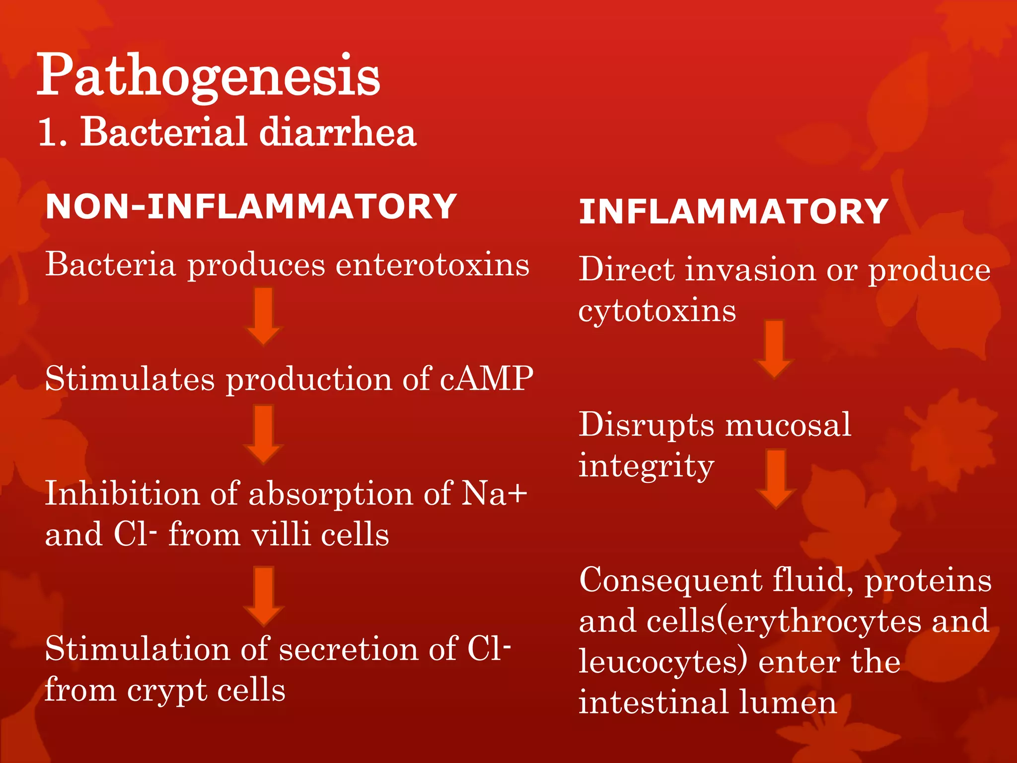 Acute diarrhea | PPTX