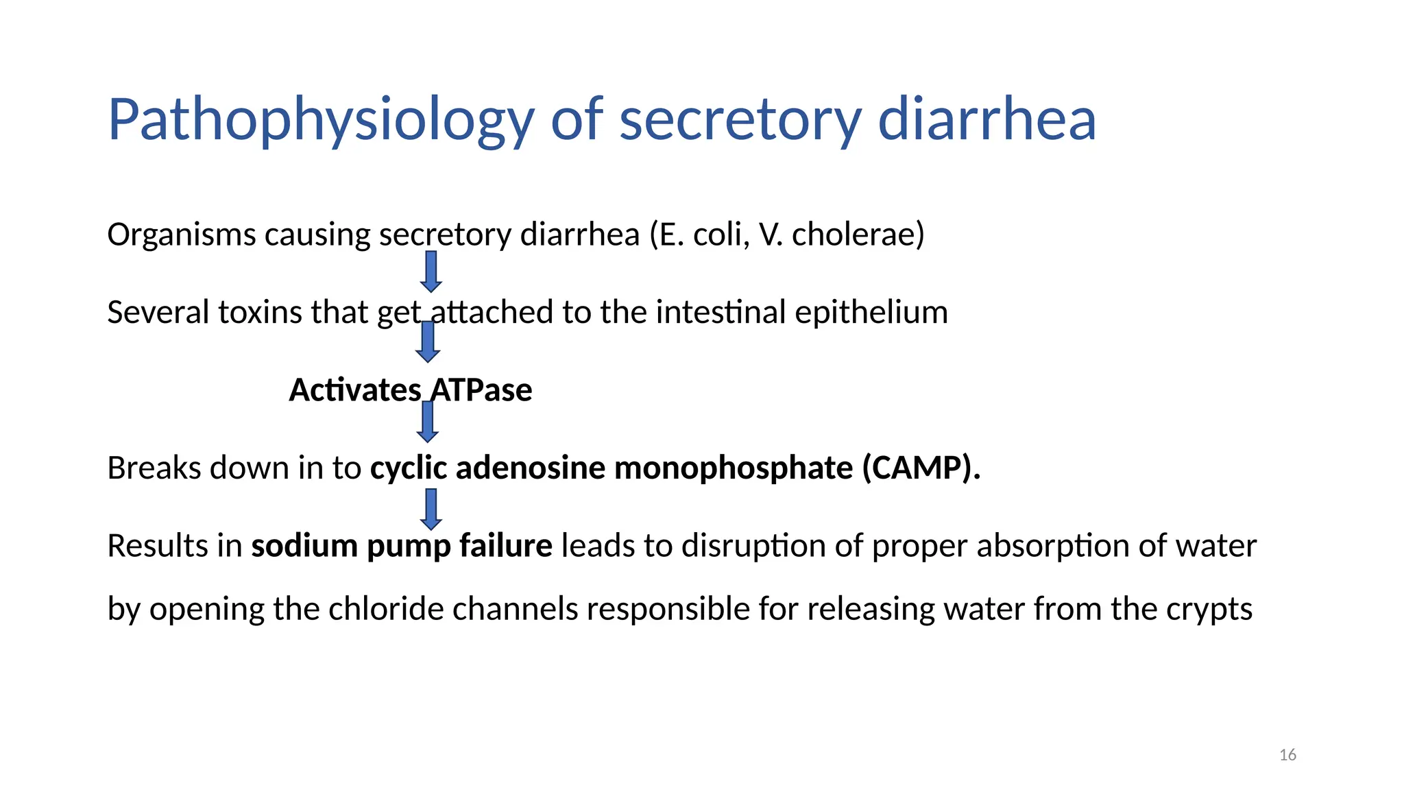 Acute Diarrhea - for mbbs students 2024pptx | PPTX