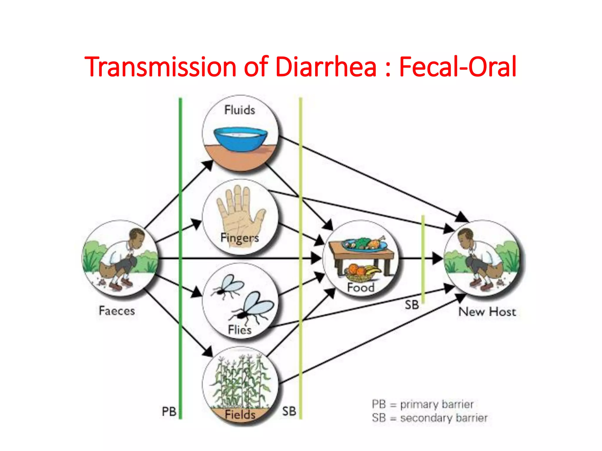 Acute diarrhea in children 2021 | PDF