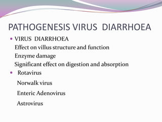 Acute diarrhoea | PPTX