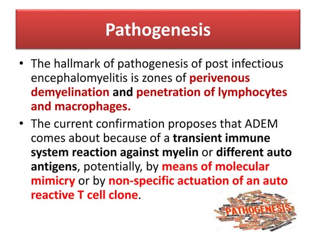 Acute disseminated encephalomyelitis (ADEM) .Case Report. | PPTX ...