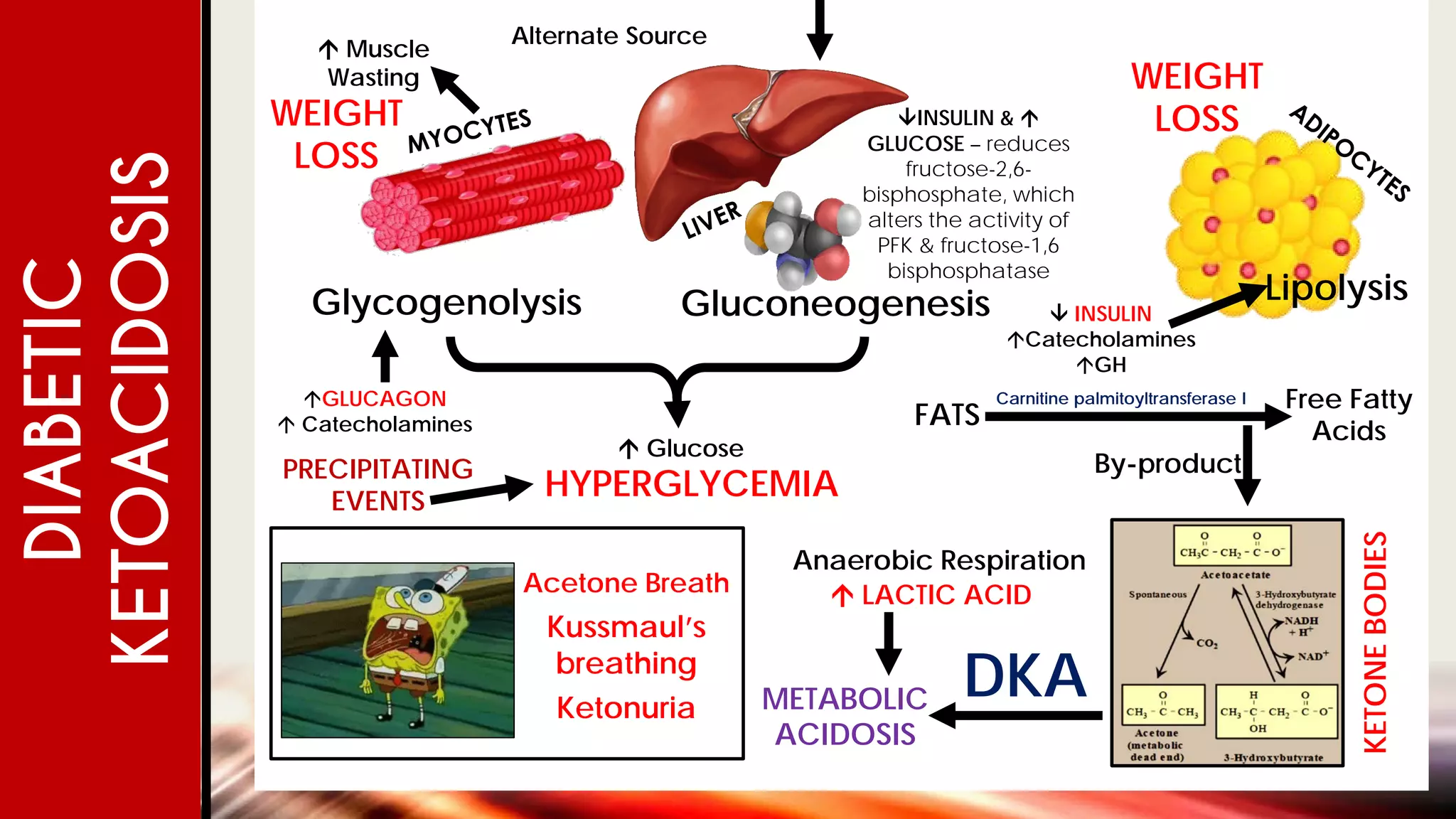 Acute DM Complications | PDF | Endocrine and Metabolic Diseases ...