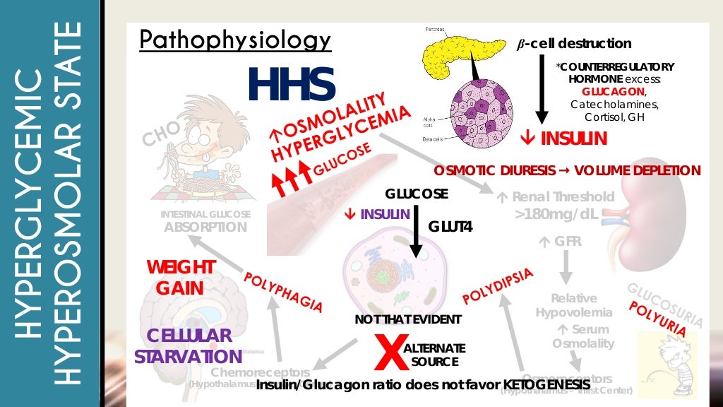 Acute DM Complications