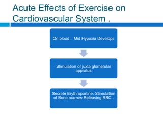Acute Effects Exercise On cardiovascular system | PPT
