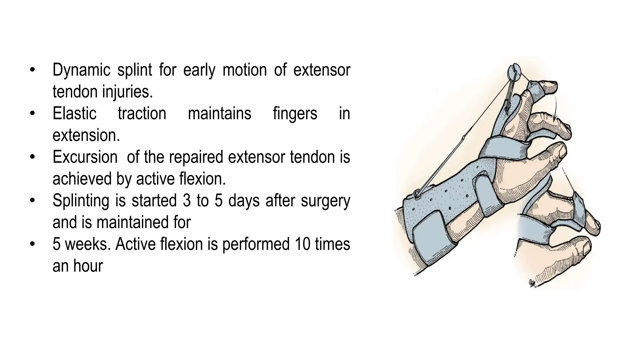 Acute Extensor tendon injuries diagnosis and management.pptx | Death ...