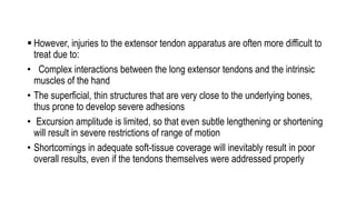 Acute Extensor tendon injuries diagnosis and management.pptx