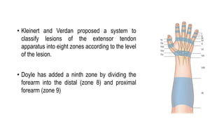 Acute Extensor tendon injuries diagnosis and management.pptx