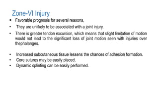 Acute Extensor tendon injuries diagnosis and management.pptx