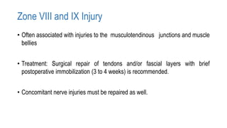 Acute Extensor tendon injuries diagnosis and management.pptx