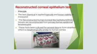 acute eye irritation studies as per OECD guidelines | PPTX