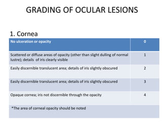 Acute eye irritation oecd | PPT