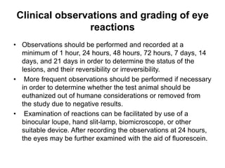 Acute Eye Irritation\Corrosion toxicology studies | PPTX | Eye and ...