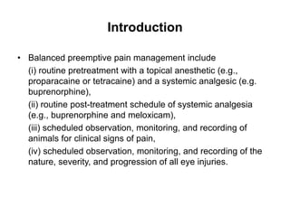 Acute Eye Irritation\Corrosion toxicology studies | PPTX | Eye and ...