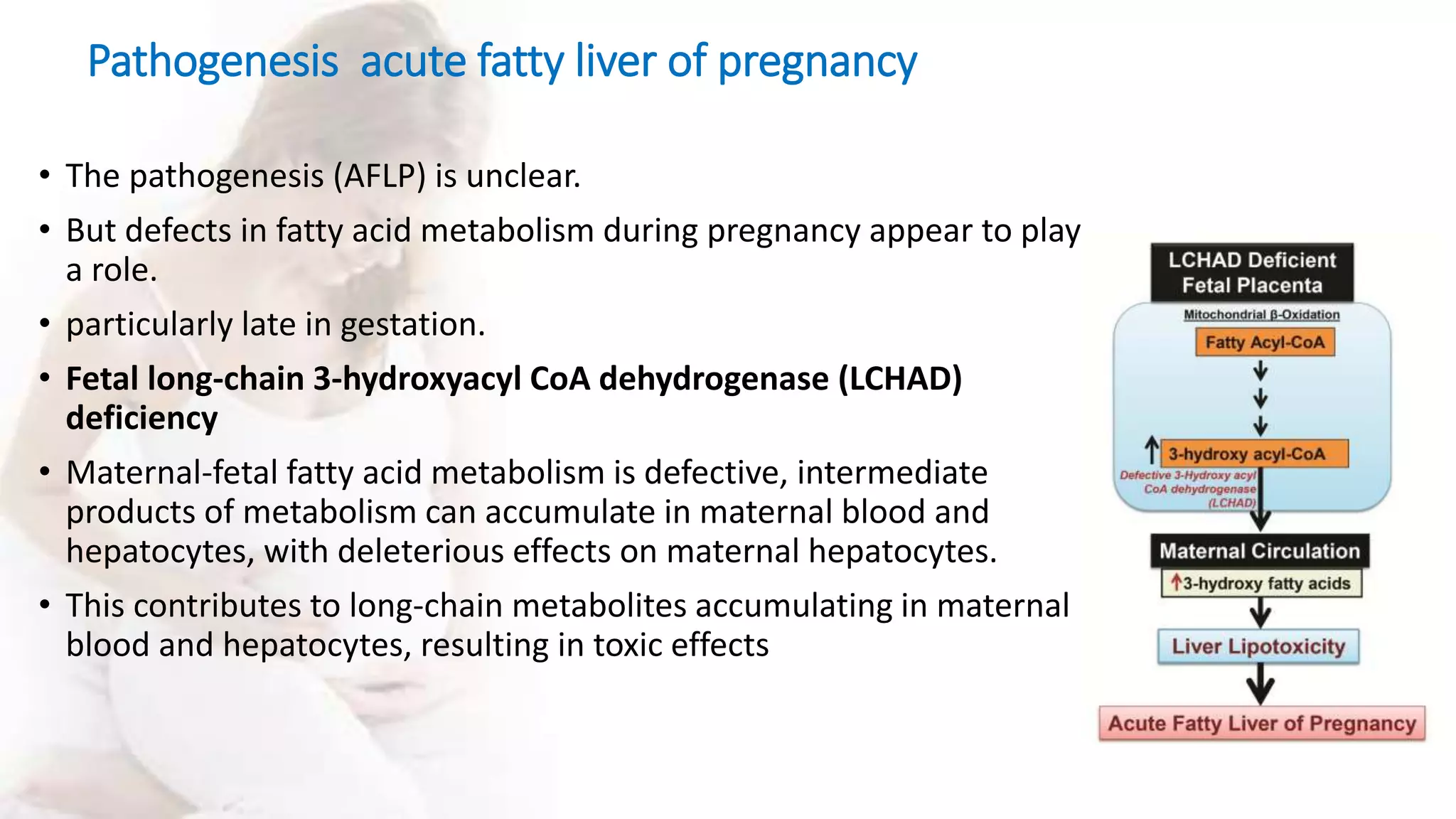 Acute fatty liver of pregnancy | PPTX