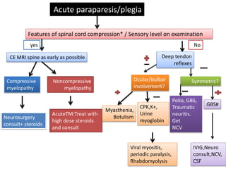 acute flacid paralysis approach-2.pptx