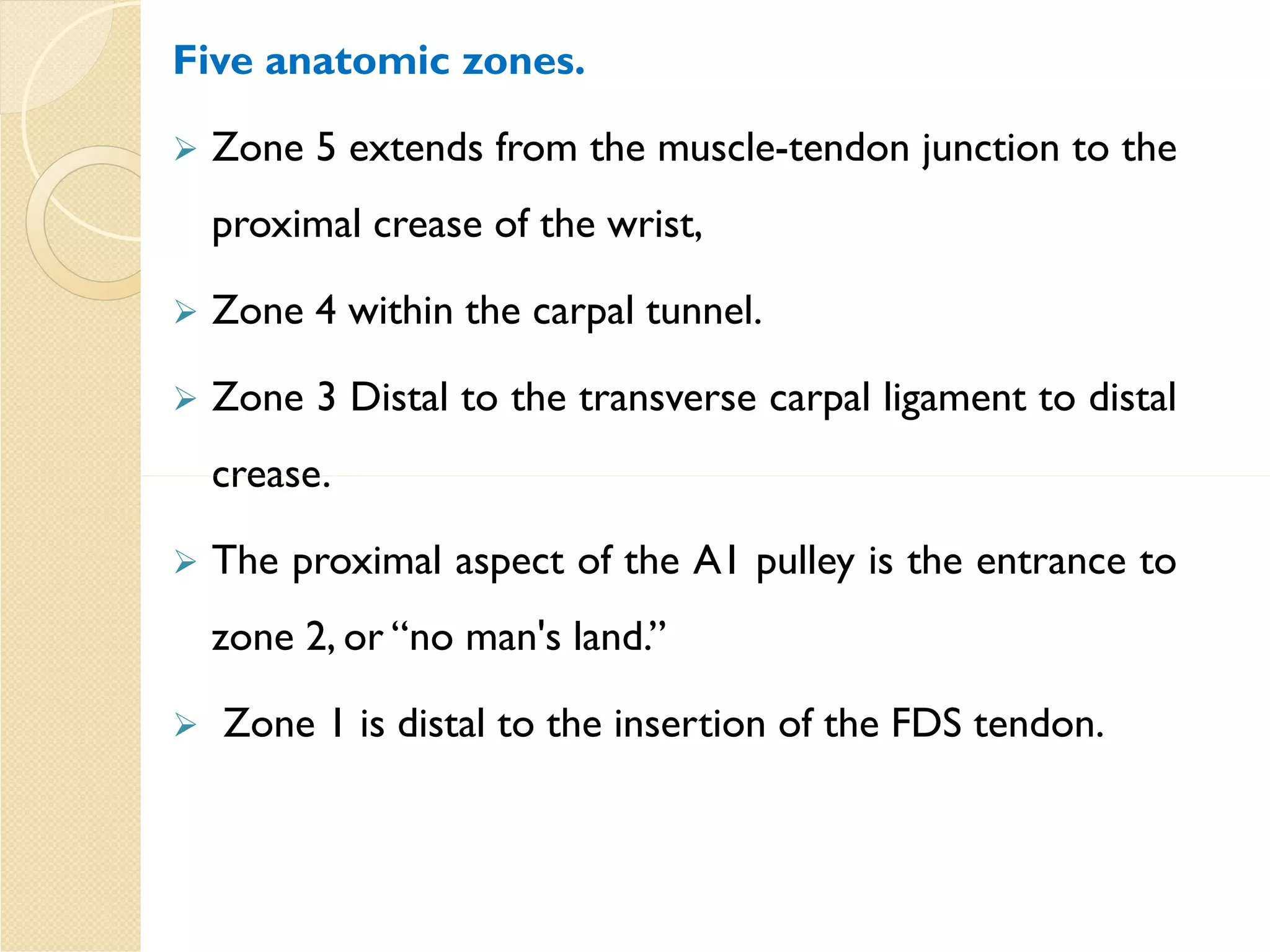 Acute flexor tendon injuries z 1 | PDF | First Aid | Injuries