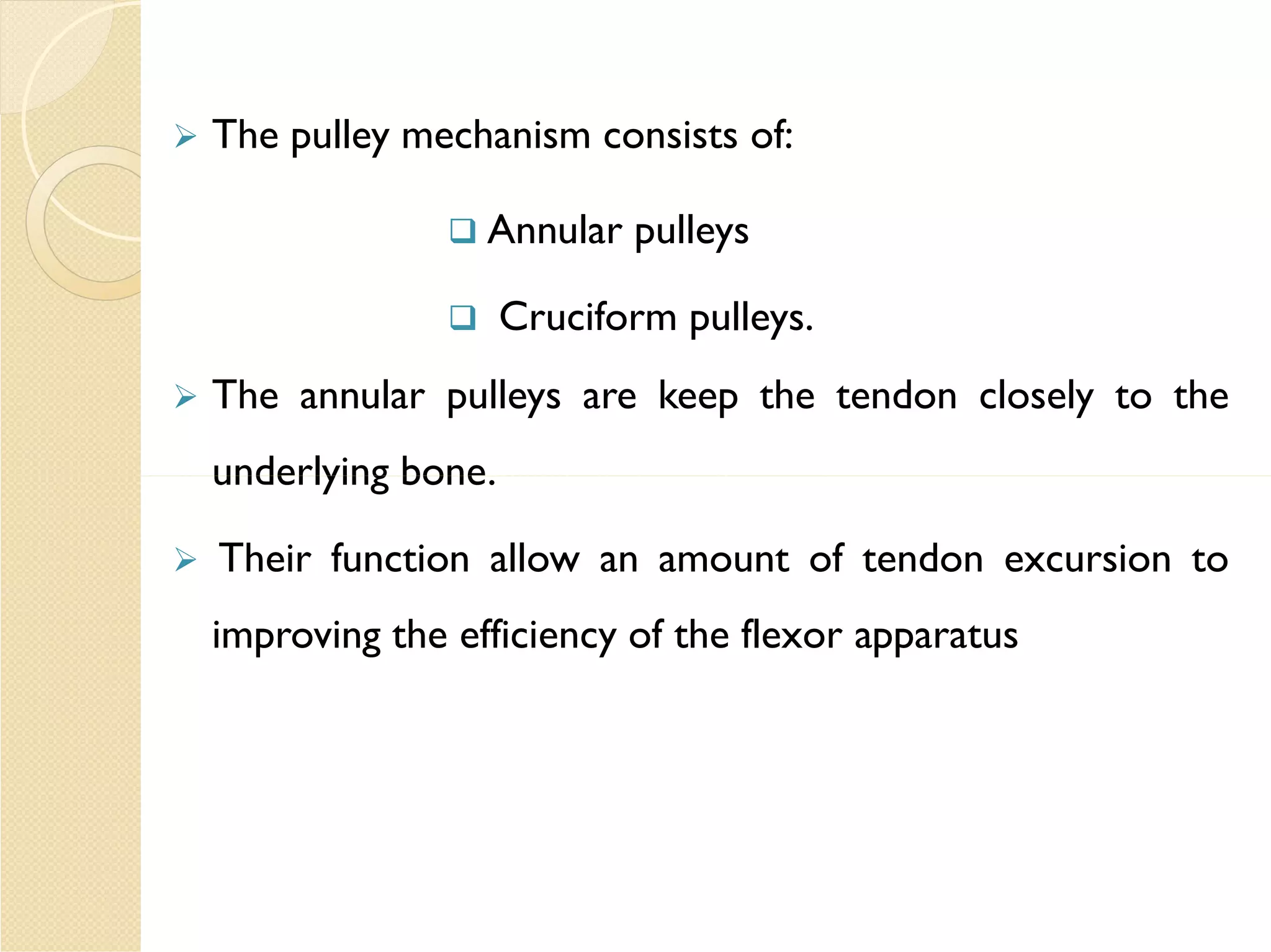 Acute flexor tendon injuries z 1 | PDF