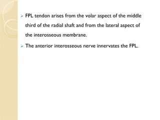 Acute flexor tendon injuries z 1 | PDF