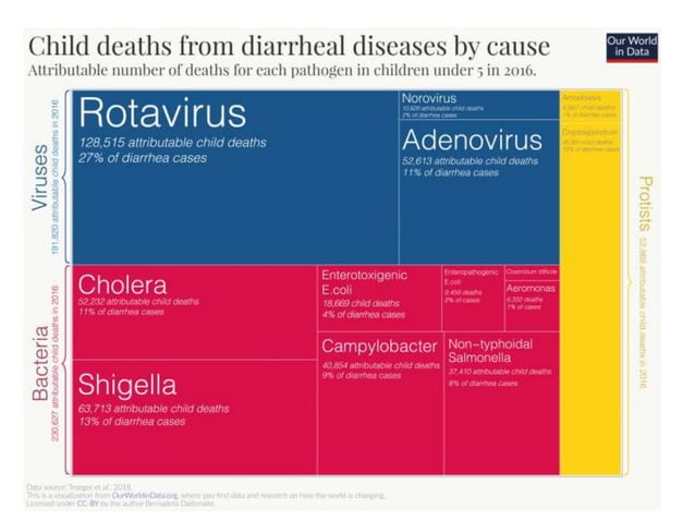 ACUTE PEDIATRIC GASTROENTERITIS | PPTX | Digestive Disorders | Diseases ...