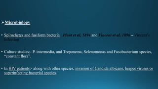ACUTE GINGIVAL INFECTIONS Based on 2017 Classification.pptx