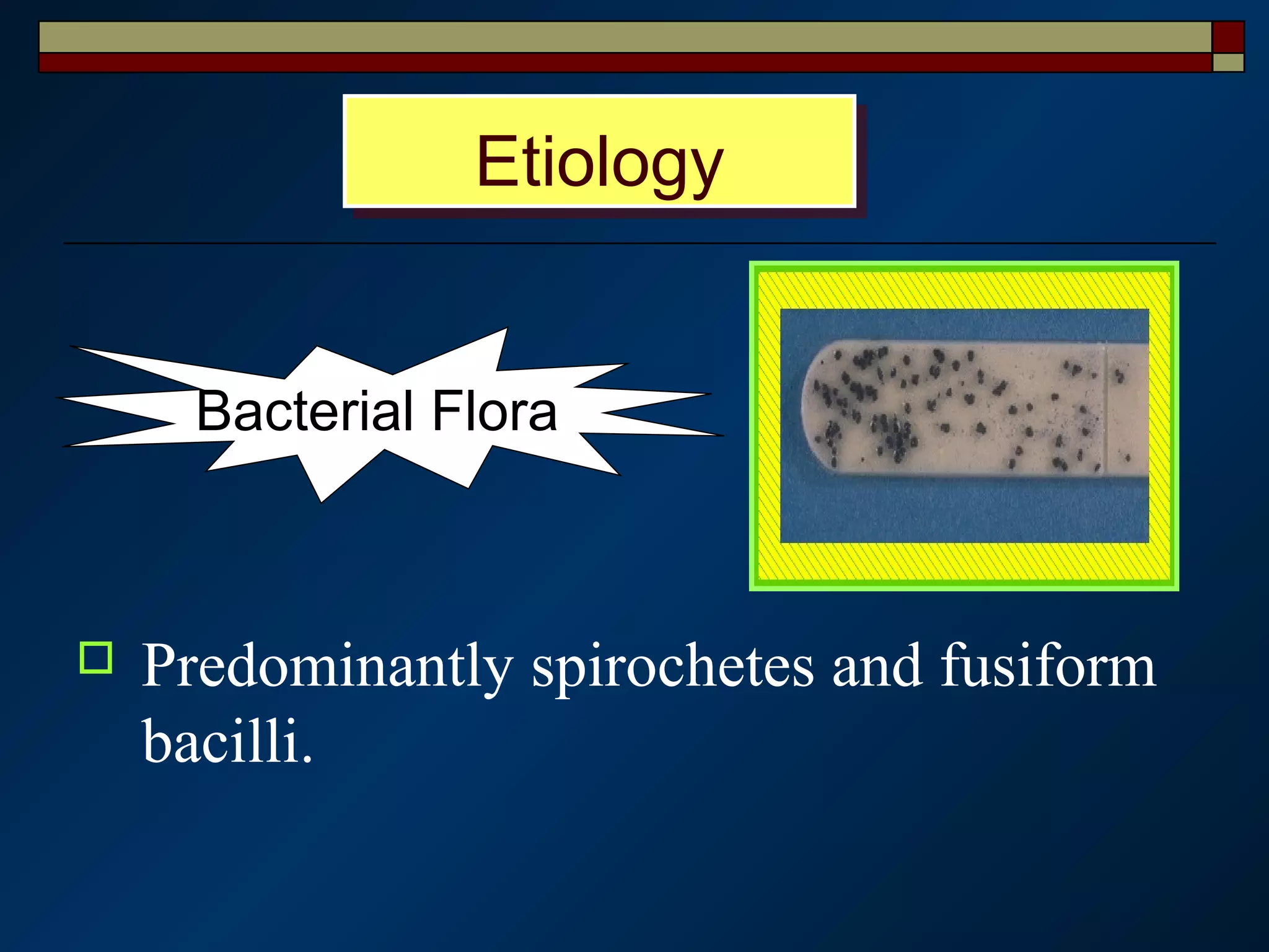 Acute gingival infrections | PPT