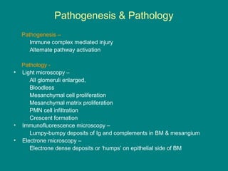 Acute glomerulonephritis | PPT