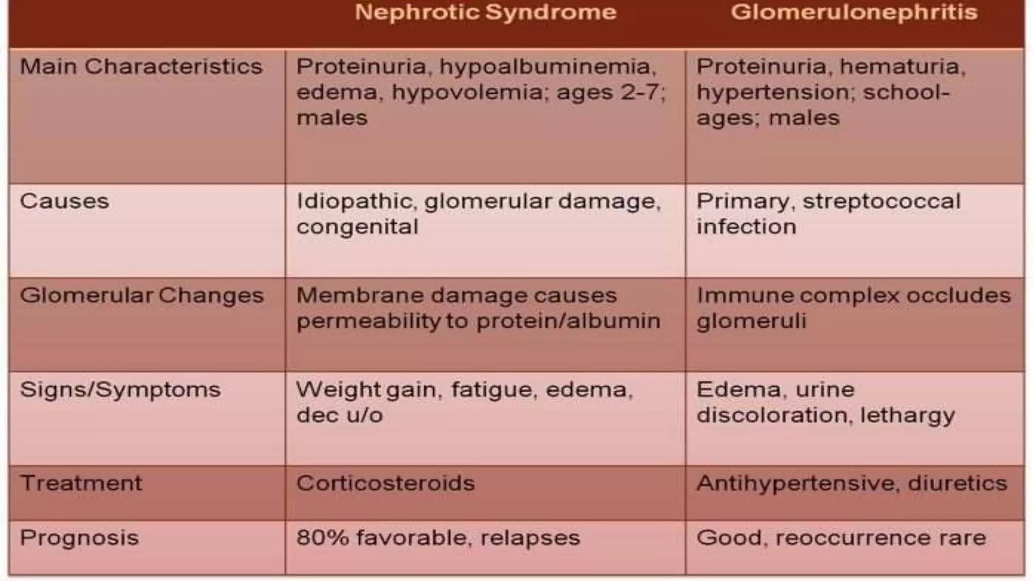 acute glomerulonephritis in pediatrics by ritu gahlawat | PPTX