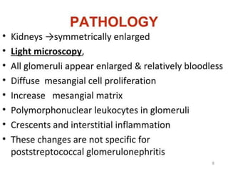 Acute glomerulonephritis.pptx renal disease | PPT