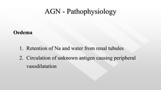 Acute glomerulonephritis for UGs | PPTX