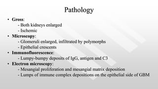 Acute glomerulonephritis for UGs | PPTX