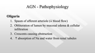 Acute glomerulonephritis for UGs | PPTX