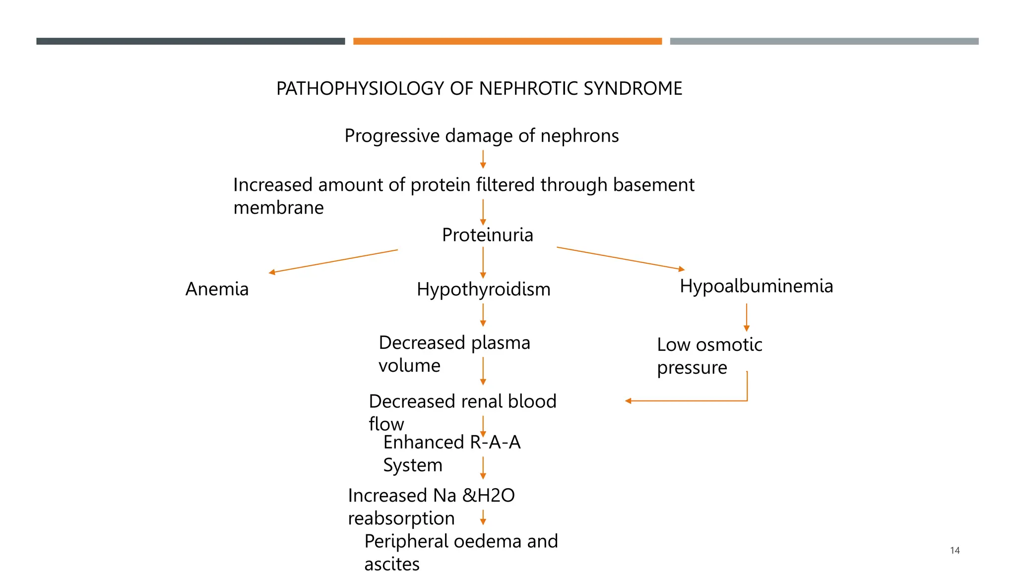 Acute glomerulonephritis and nephrotic syndrome.pptx
