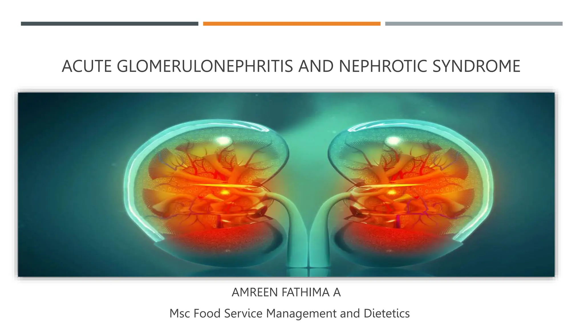 Acute Glomerulonephritis And Nephrotic Syndrome Pptx