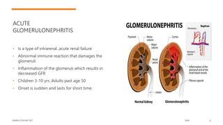 Acute glomerulonephritis and nephrotic syndrome.pptx