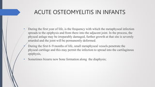 ACUTE HAEMATOGENOUS OSTEOMYELITIS- emergency orthopaedics.pptx