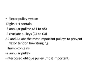 Acute Hand injury powerpoint presentation .pptx