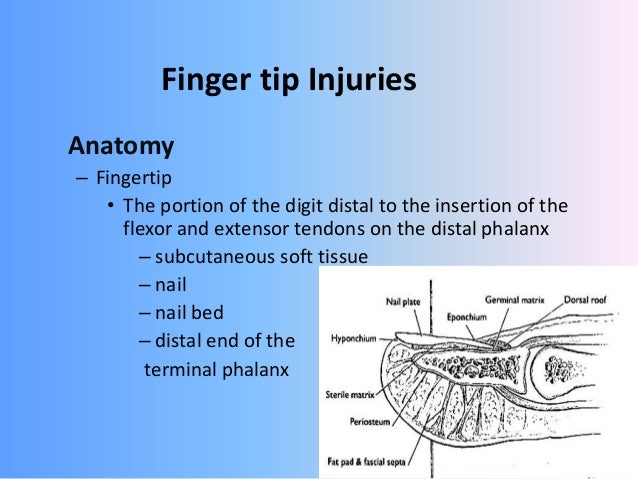 Acute hand injury management