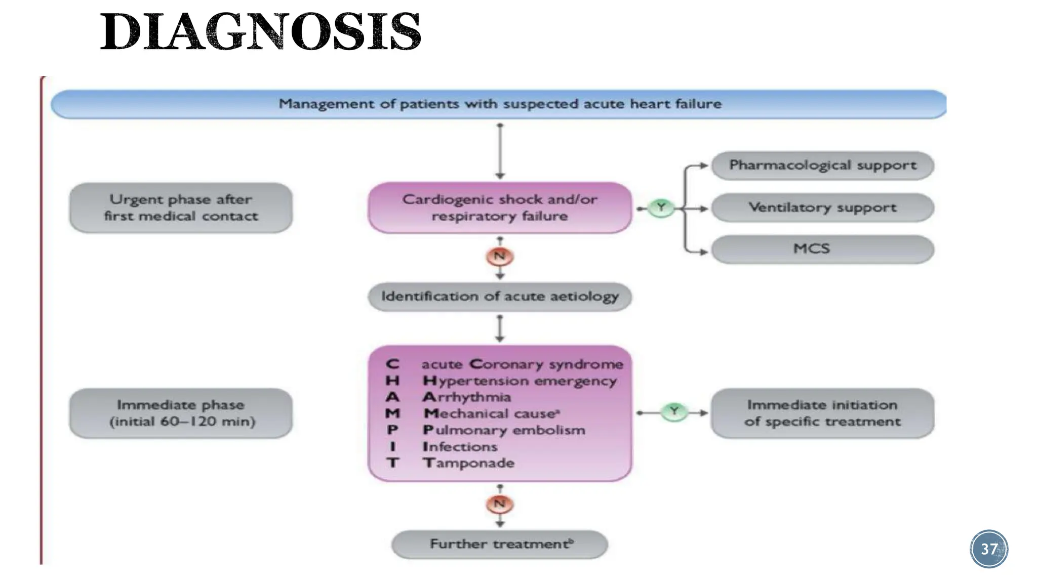 ACUTE HEART FAILURE presentation (1) copy copy.pptx