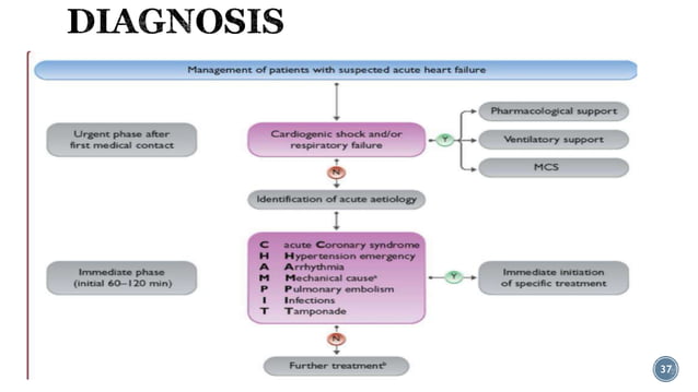 ACUTE HEART FAILURE presentation (1) copy copy.pptx