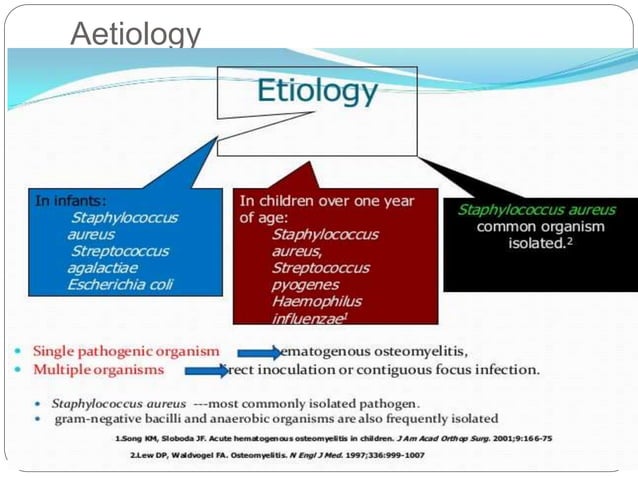 Acute hematogenous osteomyelitis | PPTX