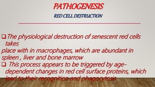 Acute hemolytic anemia | PPTX