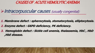 Acute hemolytic anemia | PPTX