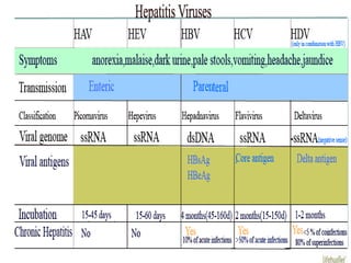 Acute hepatitis in pediatrics | PPTX