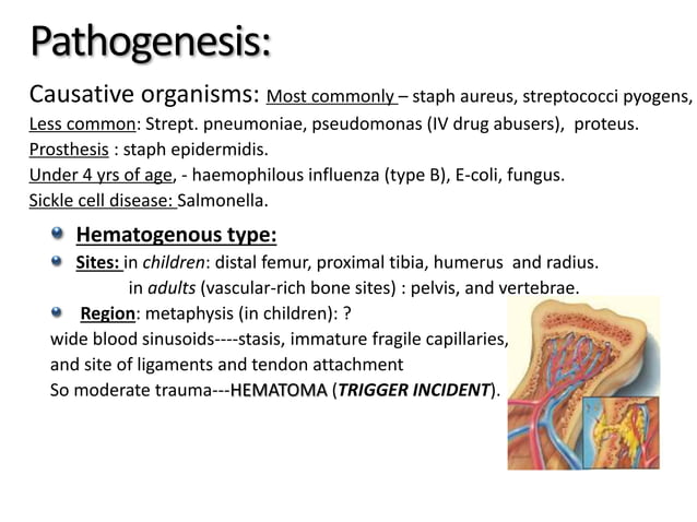 Acute infections of bones and joints | PPTX | Bone and Joint Conditions ...