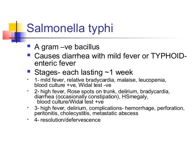Salmonella Typhi Rose Spots