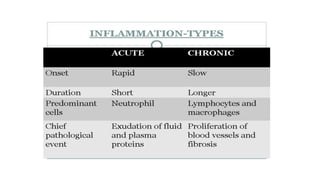Acute inflamation | PPT