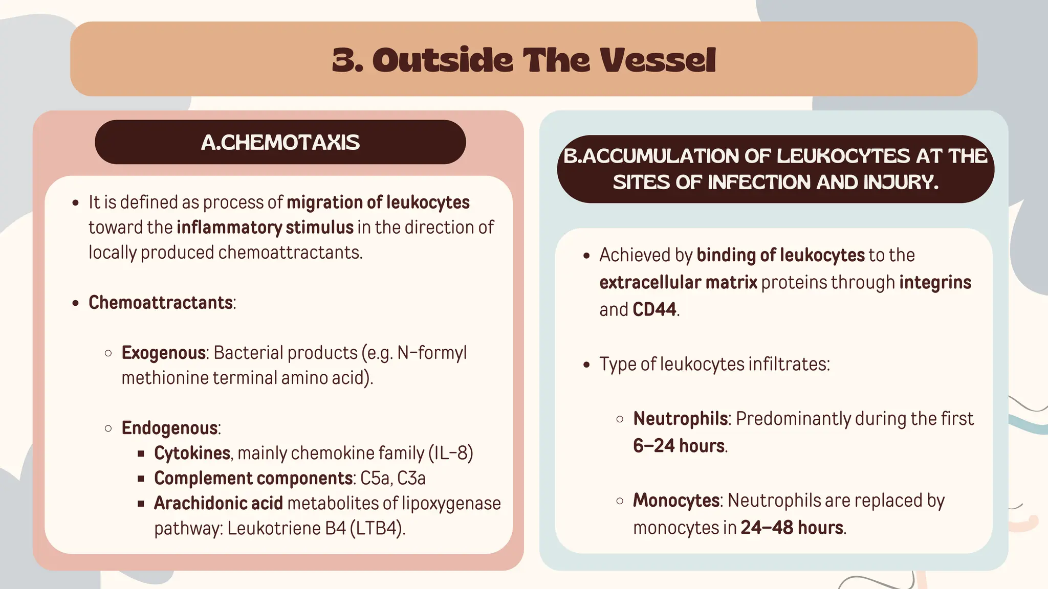 ACUTE INFLAMMATION - CAUSES, MECHANISMS, CARDINAL SIGNS, VASCULAR AND ...