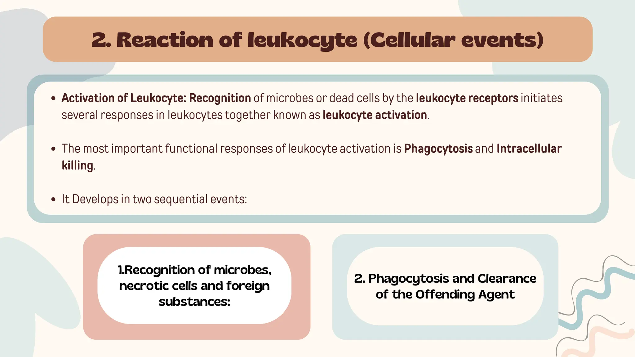ACUTE INFLAMMATION - CAUSES, MECHANISMS, CARDINAL SIGNS, VASCULAR AND ...