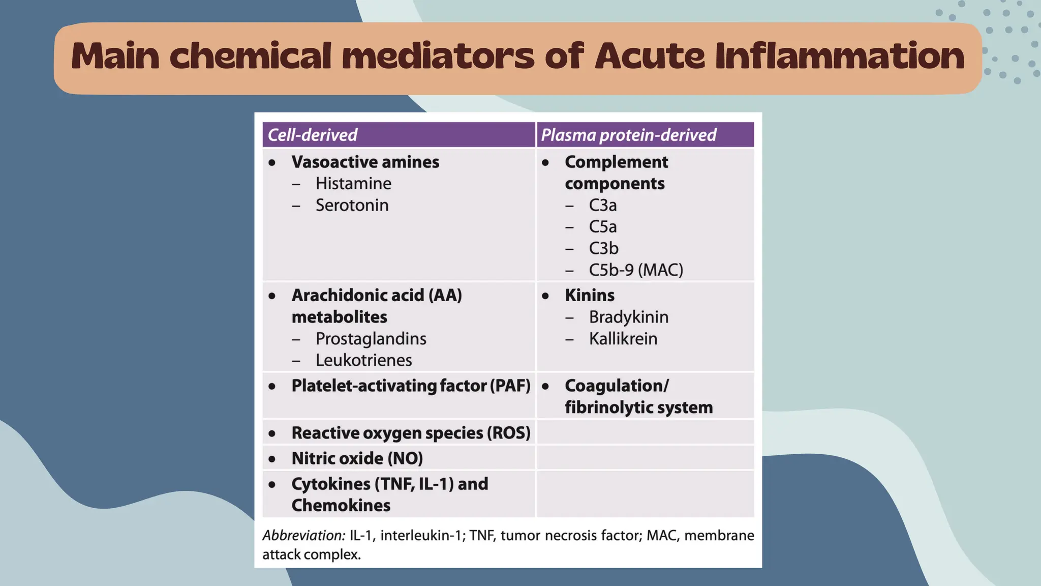 ACUTE INFLAMMATION - CAUSES, MECHANISMS, CARDINAL SIGNS, VASCULAR AND ...