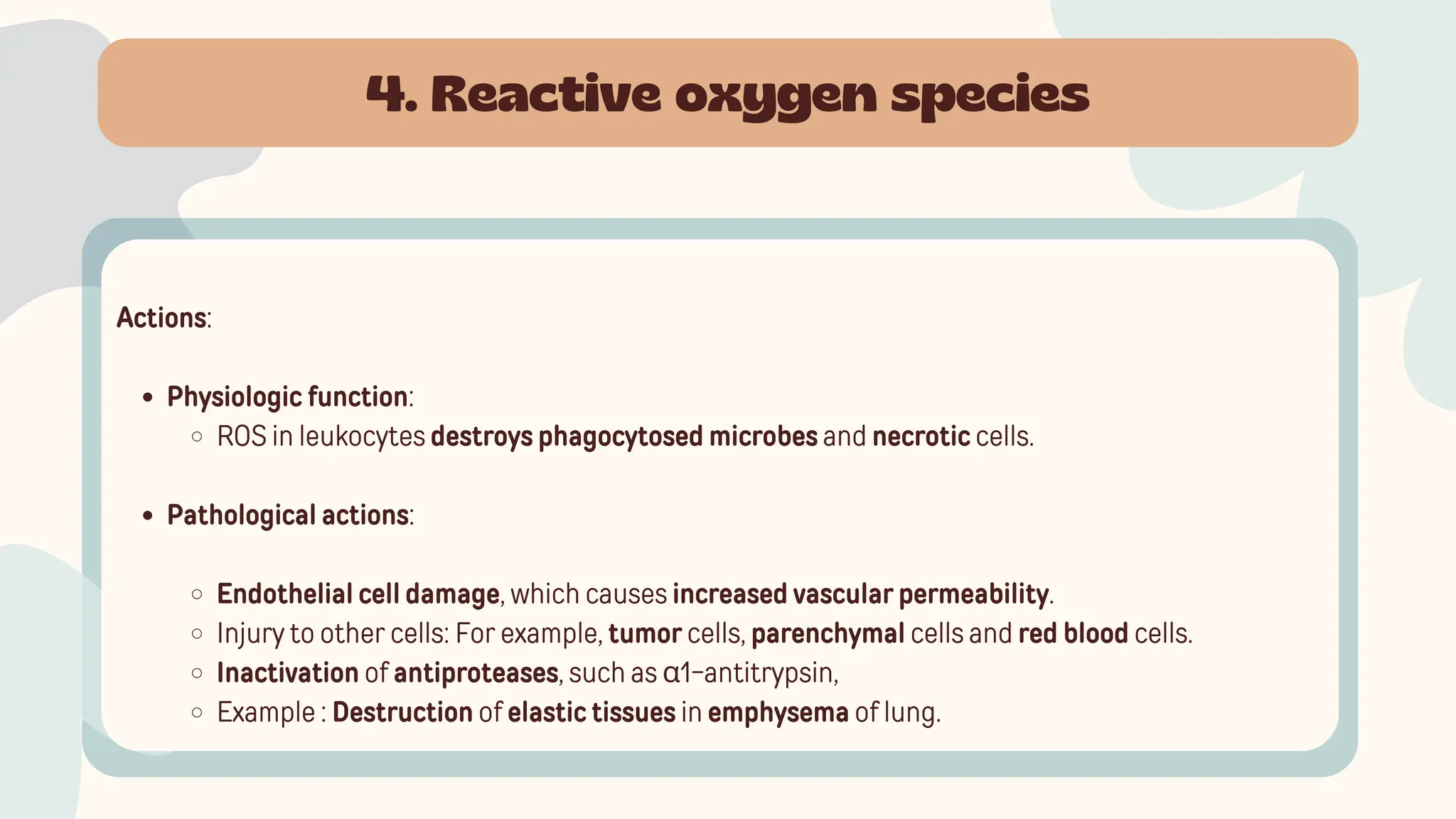 ACUTE INFLAMMATION - CAUSES, MECHANISMS, CARDINAL SIGNS, VASCULAR AND ...